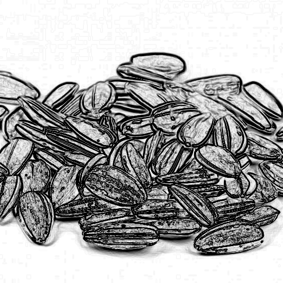 Pinka lesná – Vtáčiky.sk